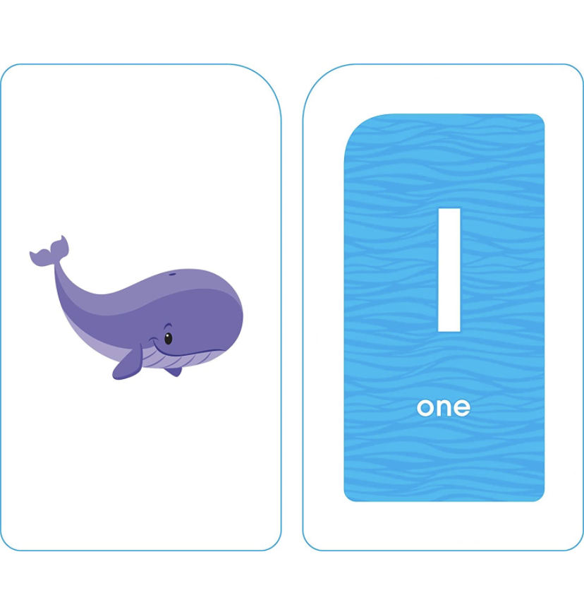 School Zone Numbers Flash Cards – Busy Brains Kids Shop